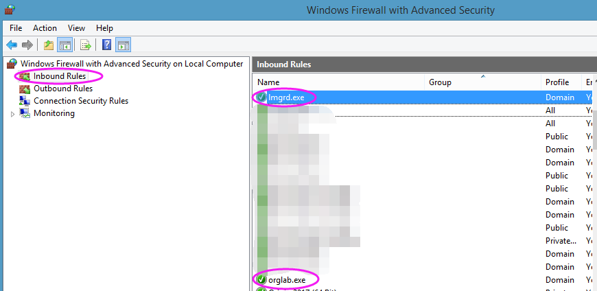 Help Online - License - FLEXnet Server Setup for Windows
